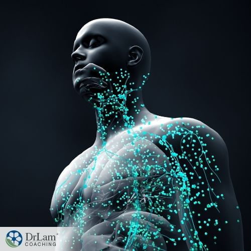 Colina: beneficios, usos y alimentos que la contienen